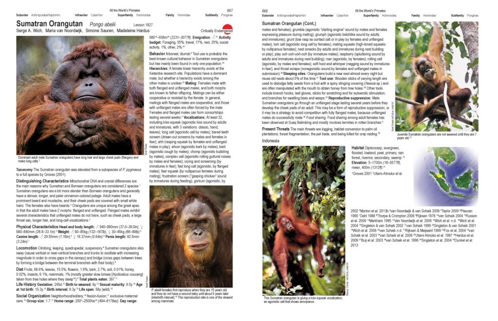 Sample Pages – All The Worlds Primates